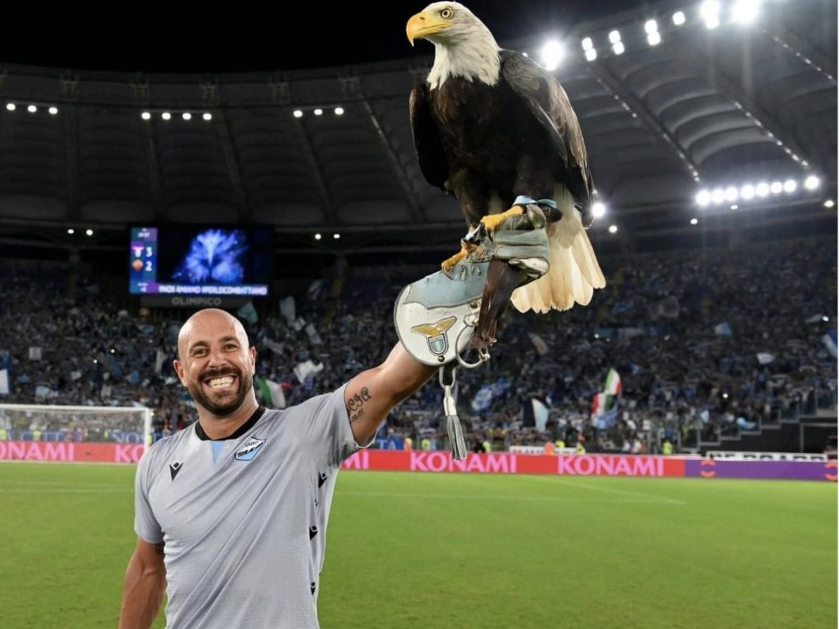 Aquile, tori, lupi e asini: gli animali simbolo del mondo del calcio