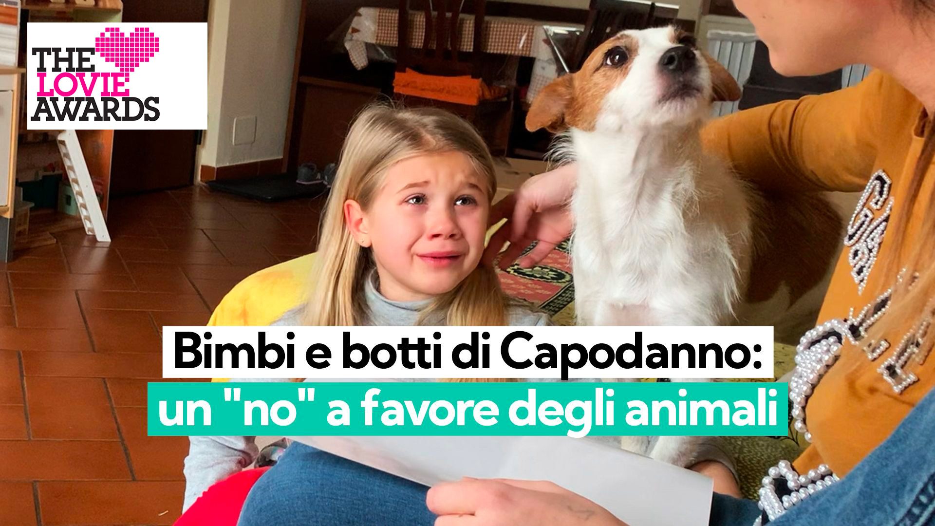 L'amore per gli animali al tempo dei botti: il video di Kodami in ...
