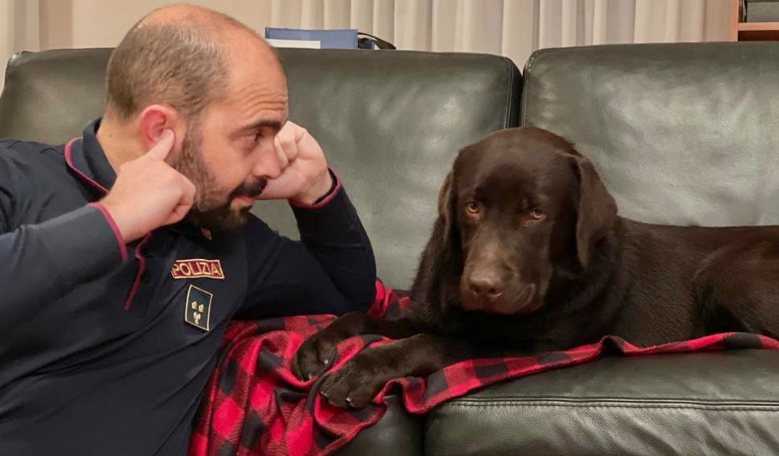 Stop ai botti per Capodanno: l'appello dell'Agente Lisa, l'agente ...