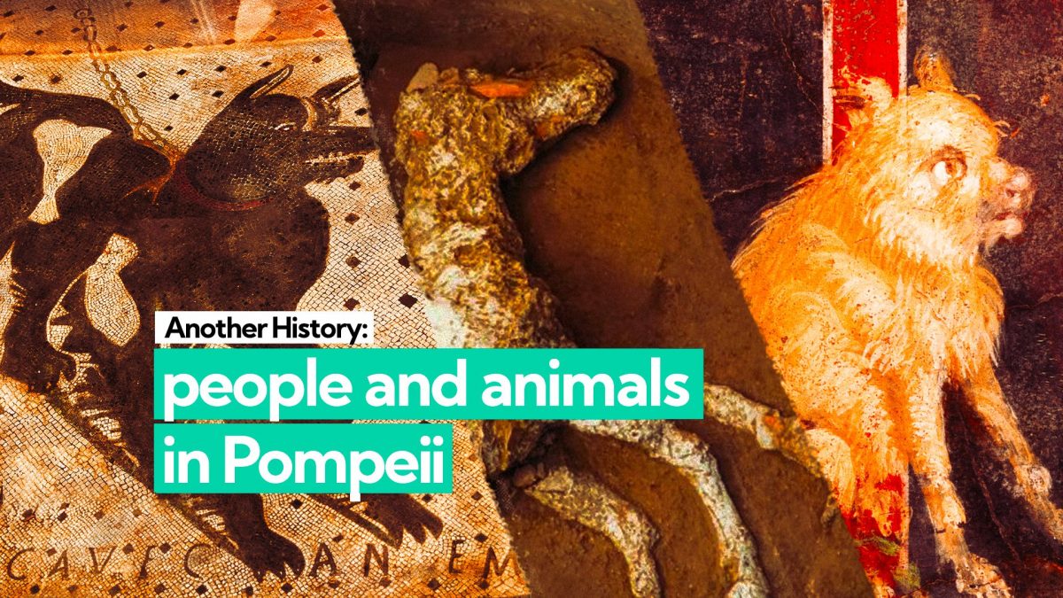 Is The Dog Of Pompeii A True Story
