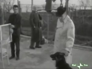 Totò, il Principe della risata e il suo grande amore per i cani