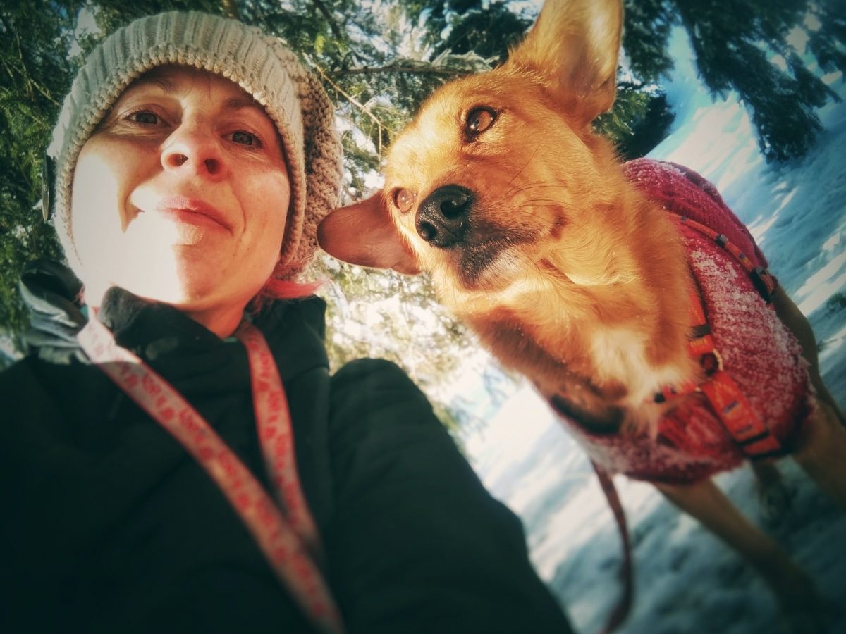 Adottare un cane adulto, la storia di Laura Rizzoli: «Con Ginger ho ...