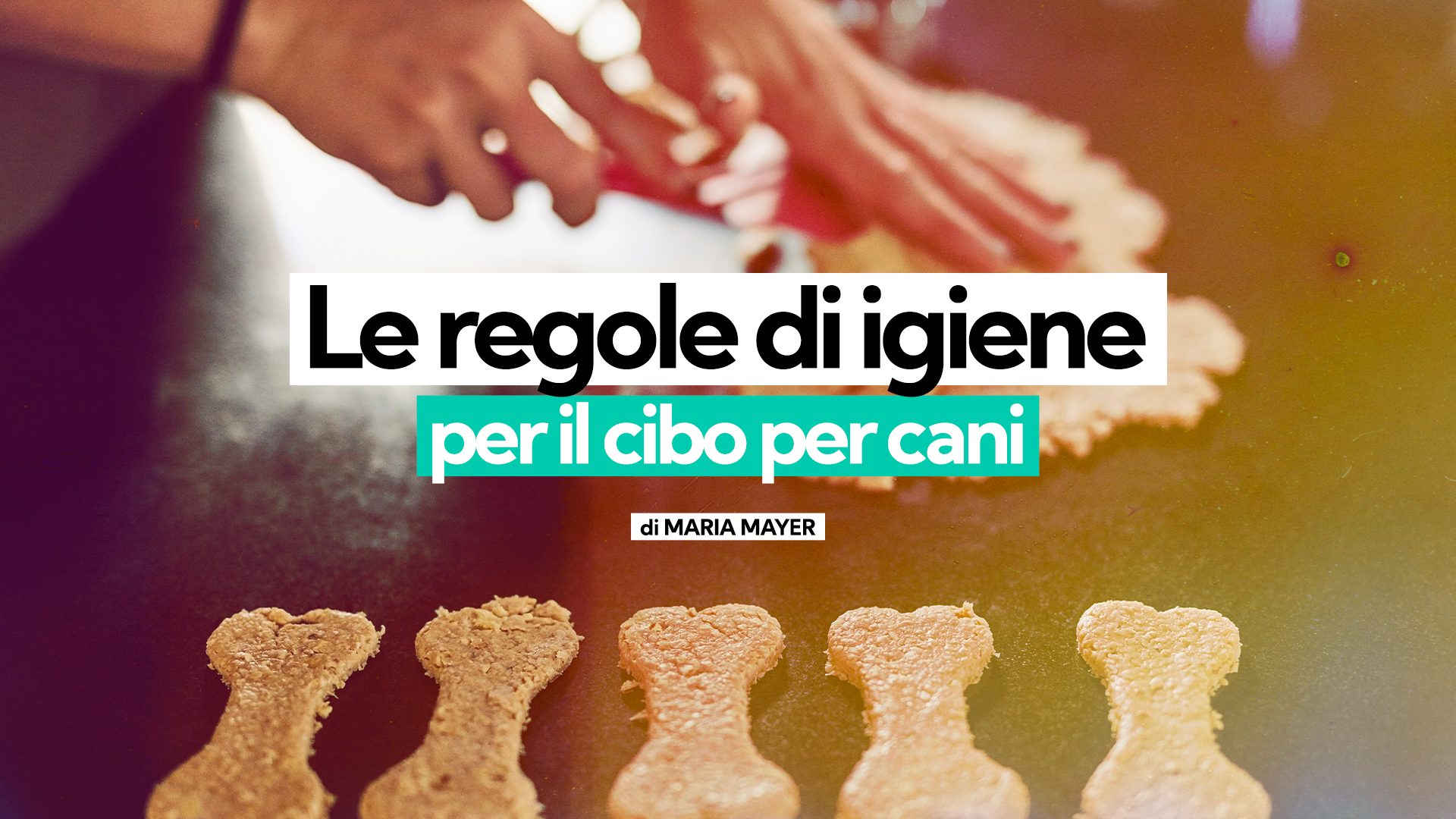 Conosci le regole di igiene per preparare il cibo al tuo cane?