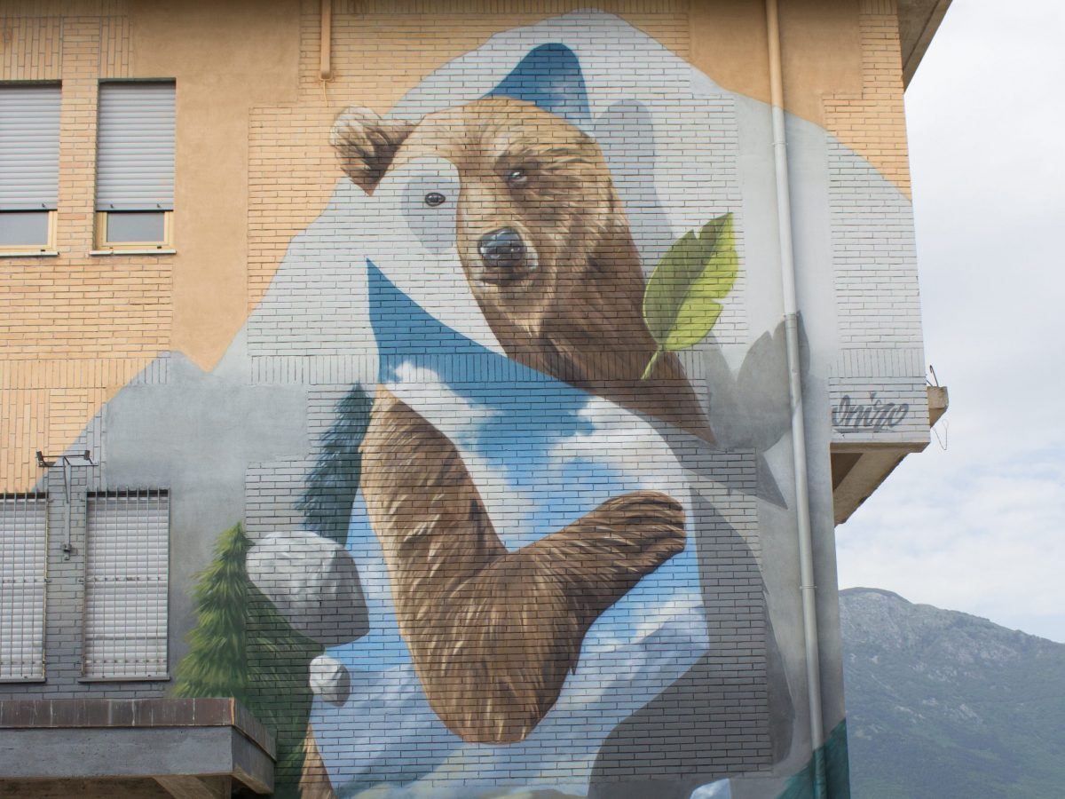 Rapporto orso 2021: «Le nuove sfide per una società a misura d'orso»