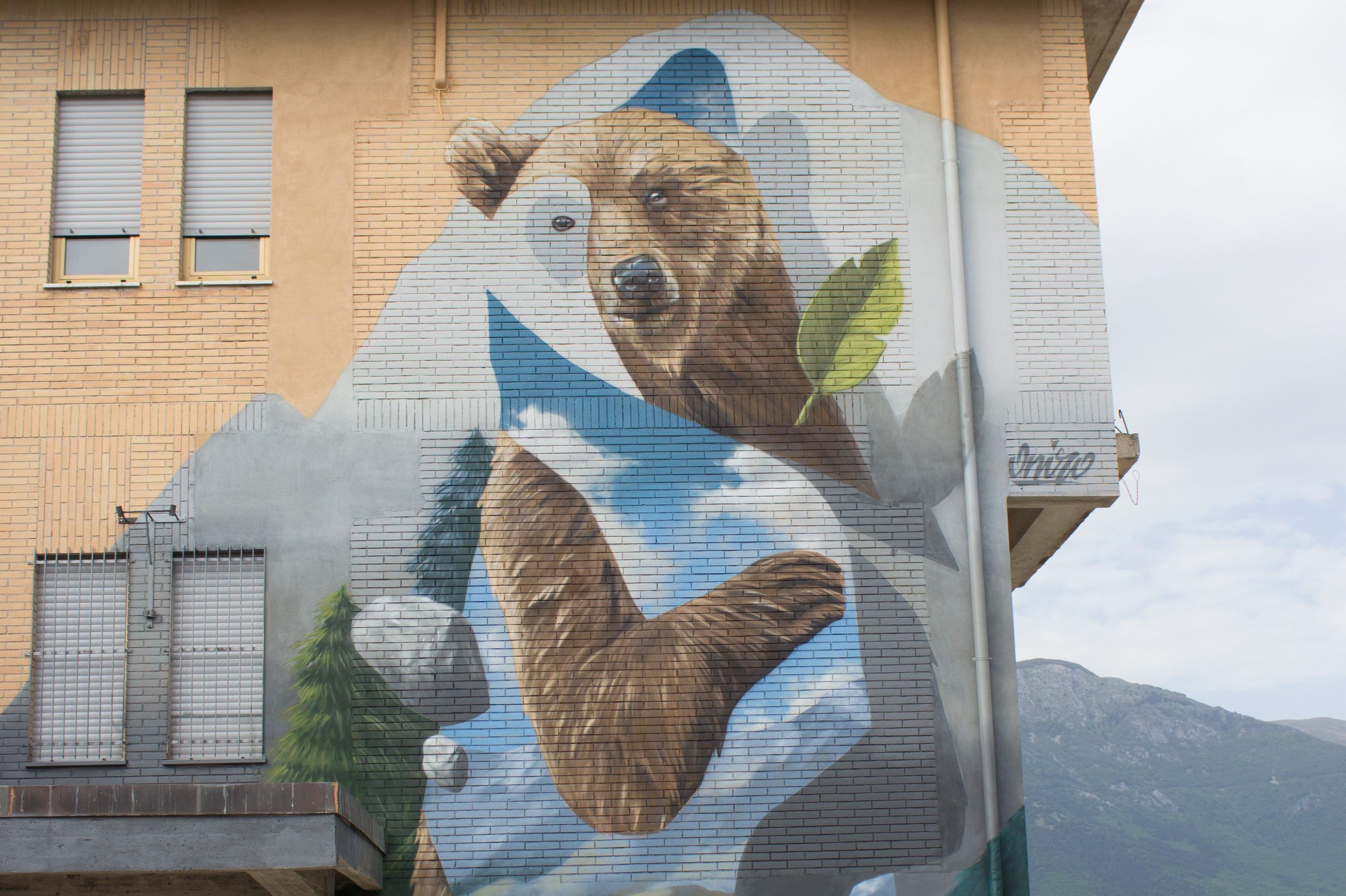 Rapporto orso 2021: «Le nuove sfide per una società a misura d'orso»