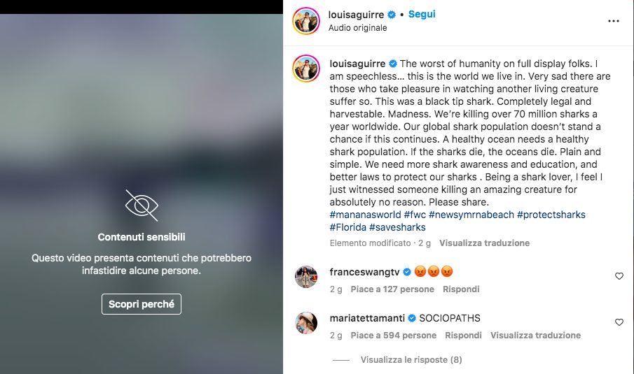 Uno squalo ucciso barbaramente in Florida: il video postato da un ...