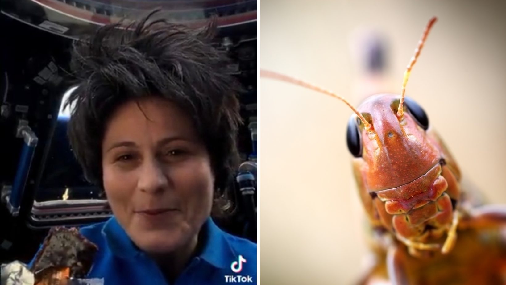 Samantha Cristoforetti e la barretta ai grilli: «Perché non provate ...