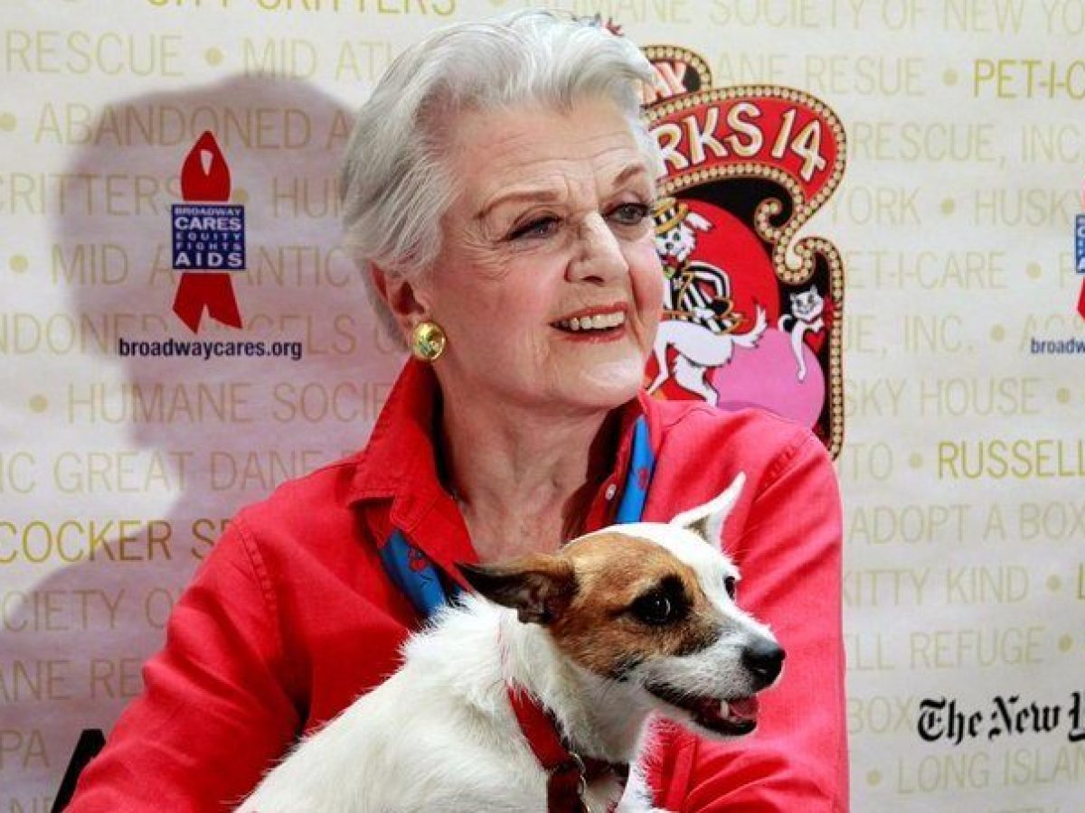 Angela Lansbury, la Signora in giallo dall'impegno per i cani dei ...