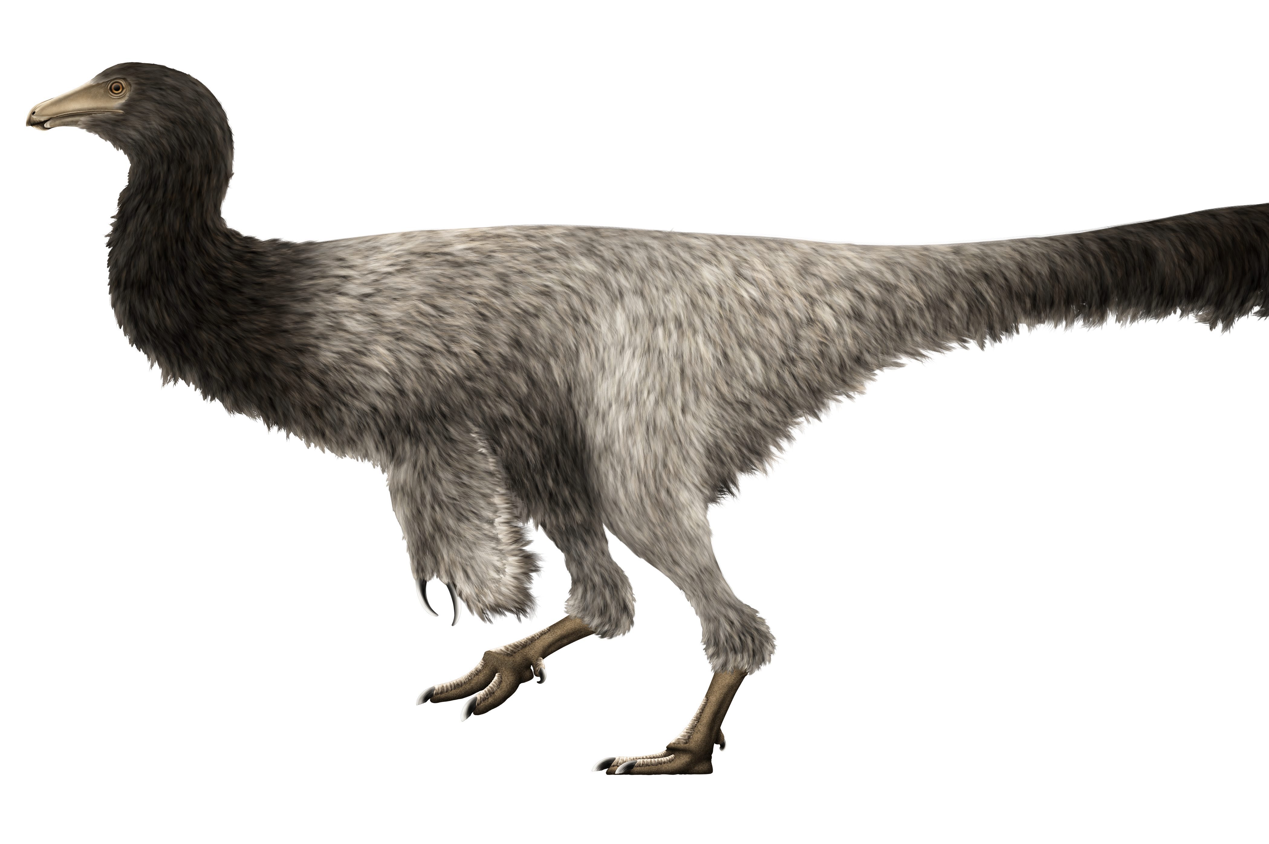 Le prede dei tirannosauri potevano pesare più di 800 chili: ecco chi ...