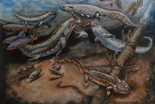 Le ossa fossili cucinate dalla deriva dei continenti