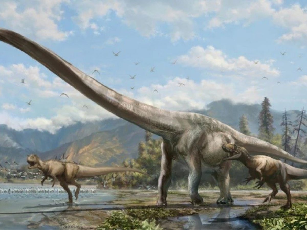 Il diplodoco, uno dei dinosauri dal collo lungo più famosi della storia