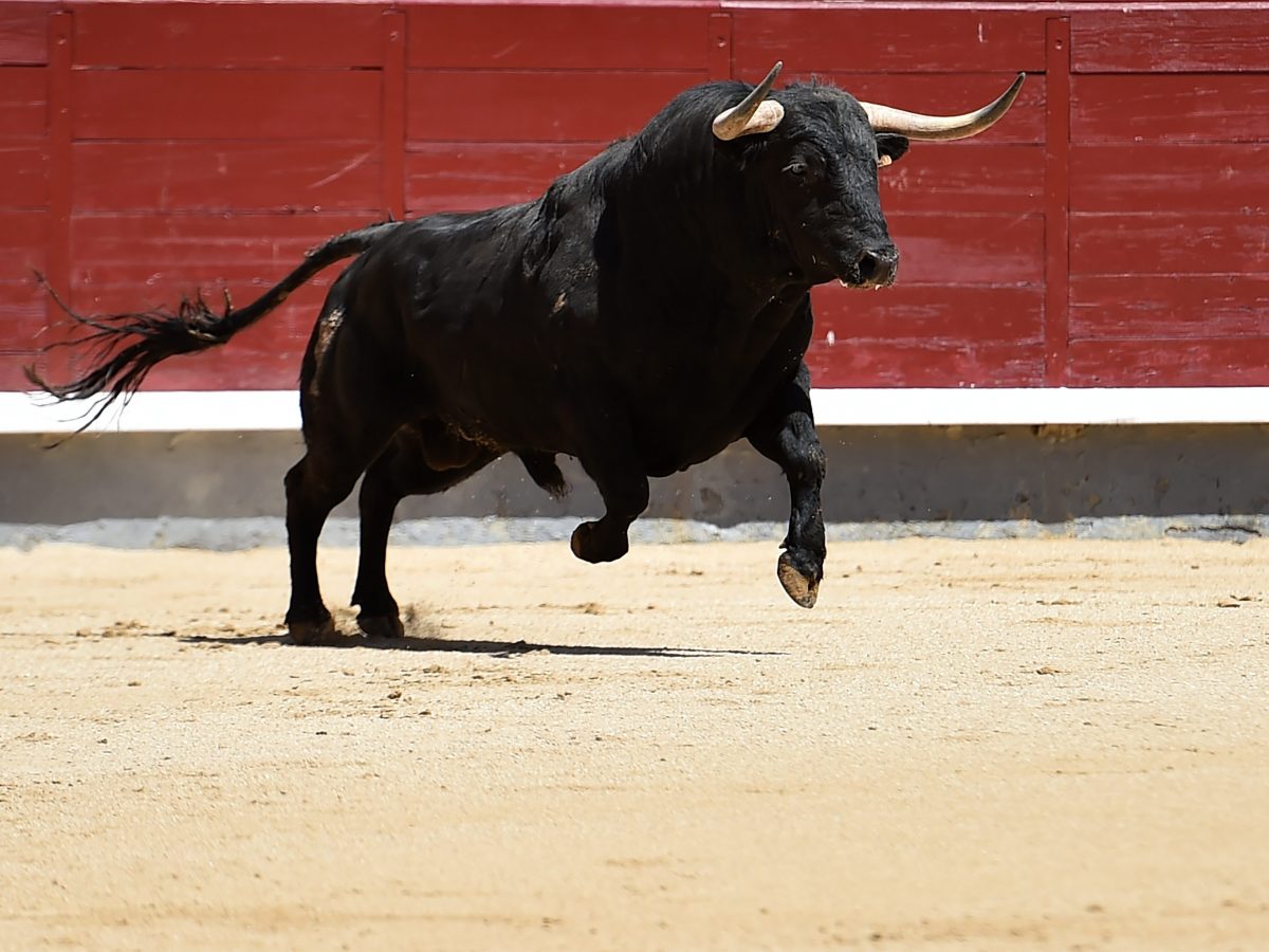Vita breve per la tauromachia in Messico e in Colombia