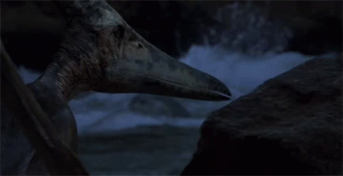 Pteranodonte, l'antico rettile volante dominatore dei cieli