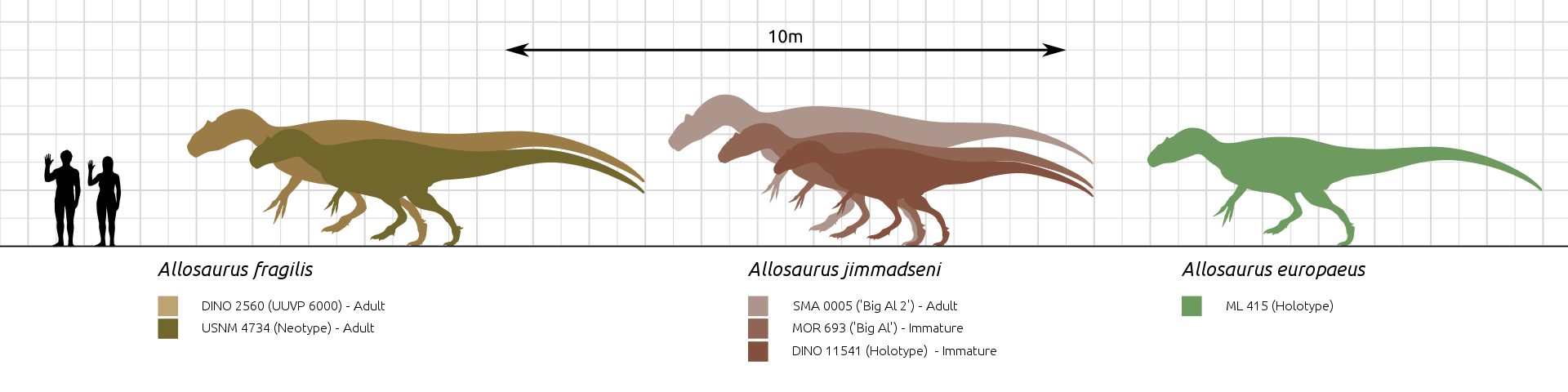 Allosauro, il più temibile dinosauro carnivoro del Giurassico