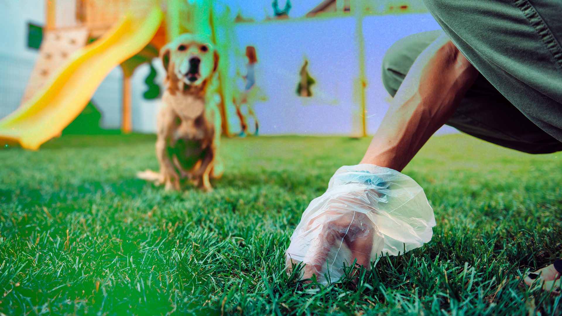 Feci bianche nel cane: le cause e quando preoccuparsi