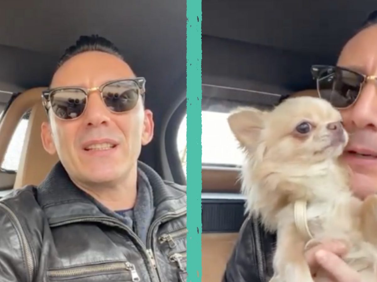 Kekko dei Modà arriva con l'inseparabile Chihuahua Pau al Festival di ...